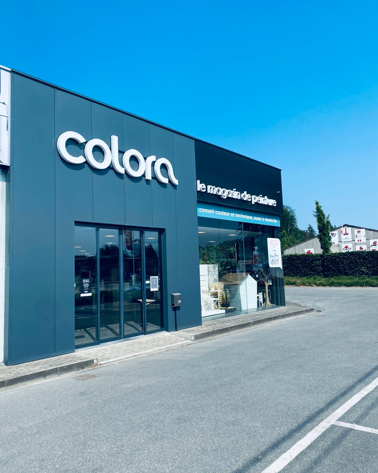 COLORA – MOOS Deco Design